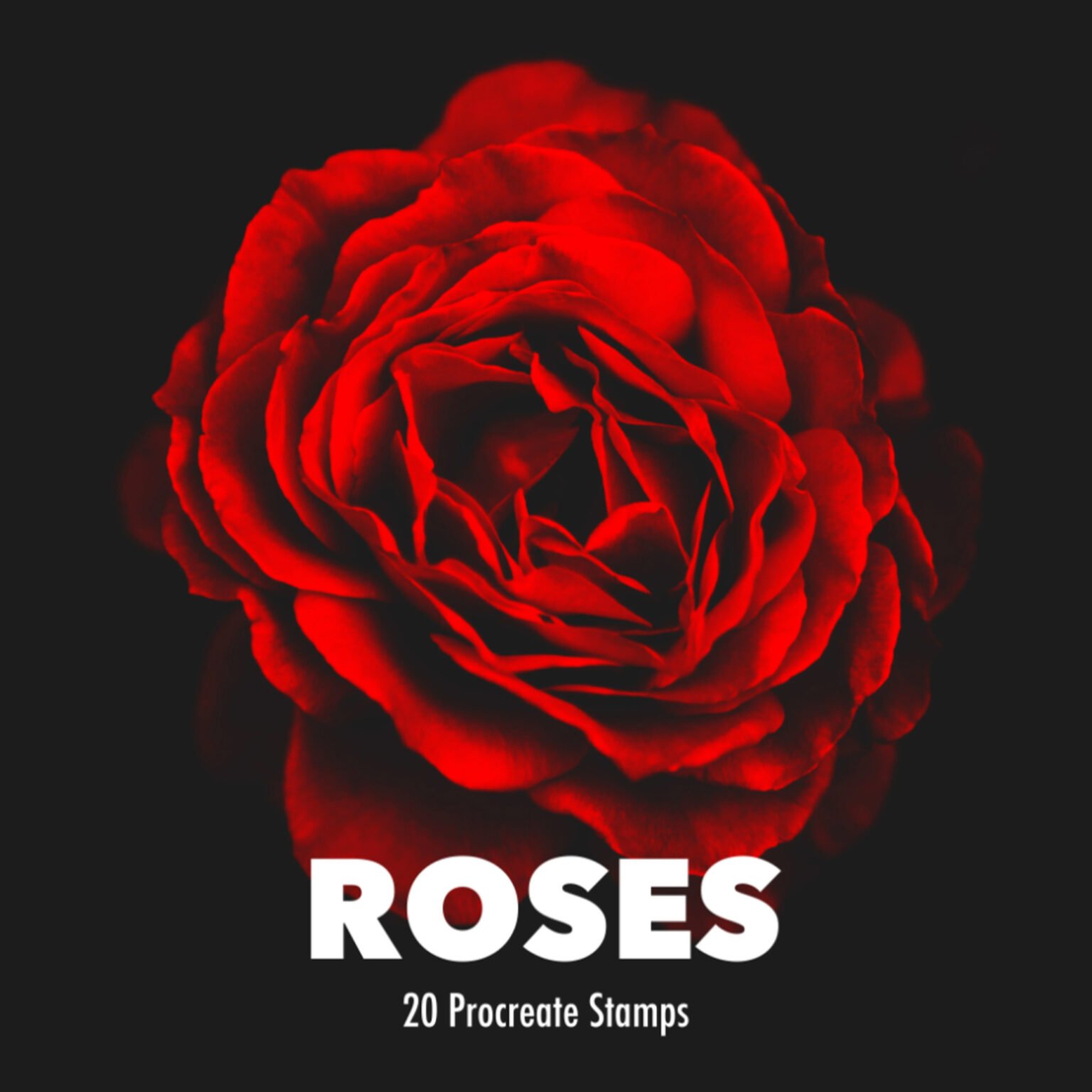 20 Free Rose Stamps for Procreate - LIBRIUM