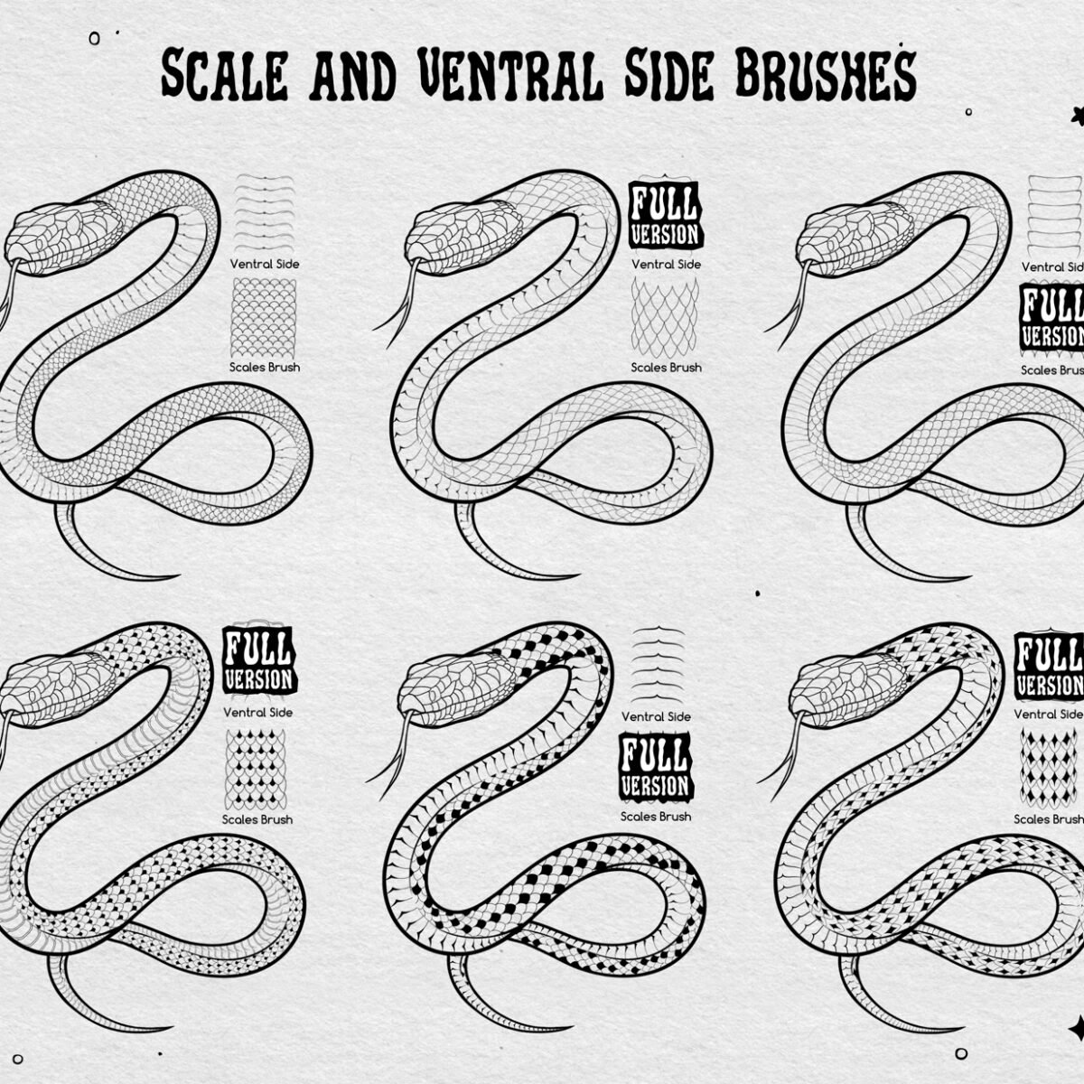 Free Snake Brushes for Procreate, Scales, Textures, Stamps - LIBRIUM