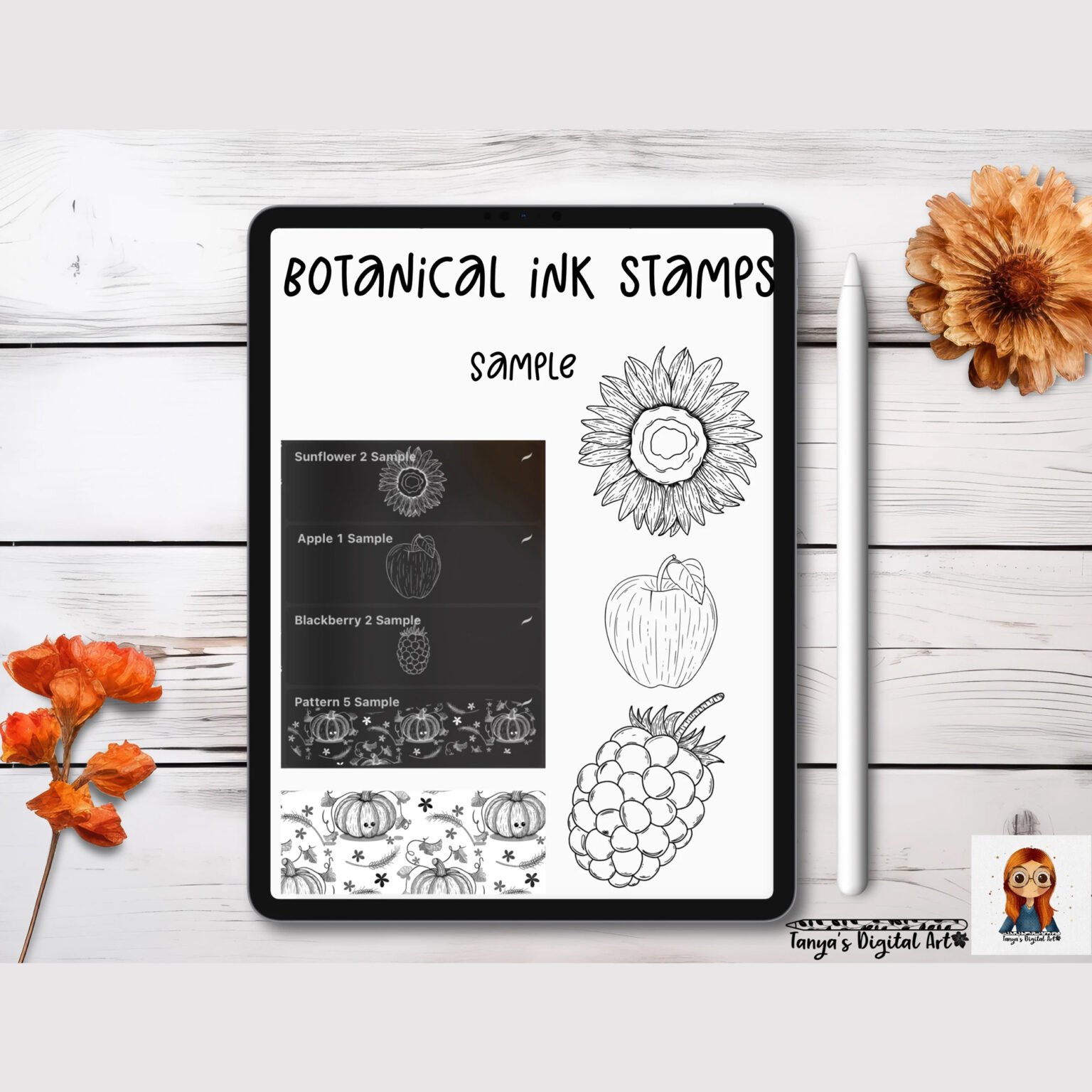 LIBRIUM - Free Procreate brushes